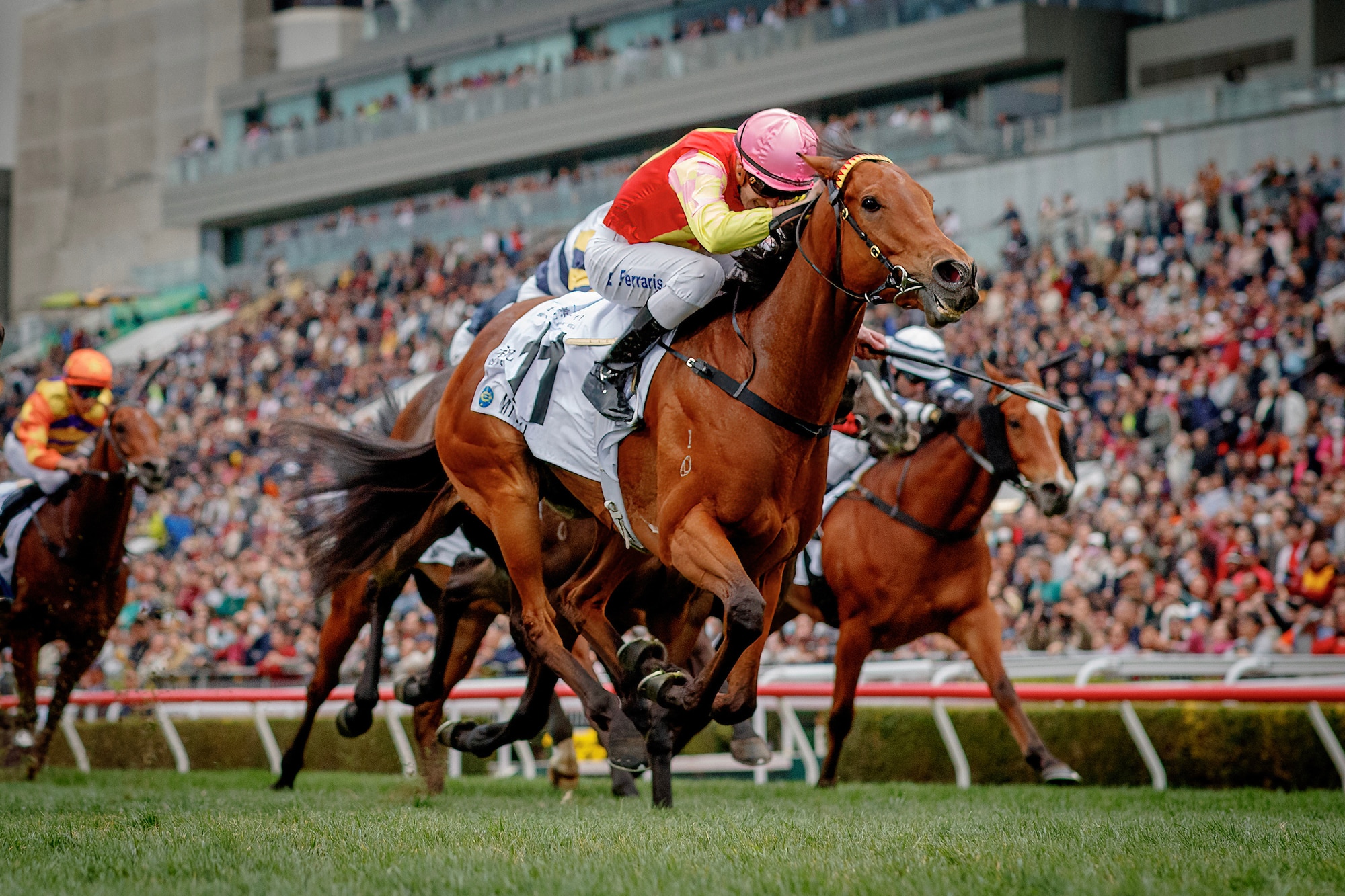 Why Hong Kong has made Mark Newnham a better trainer – The Straight