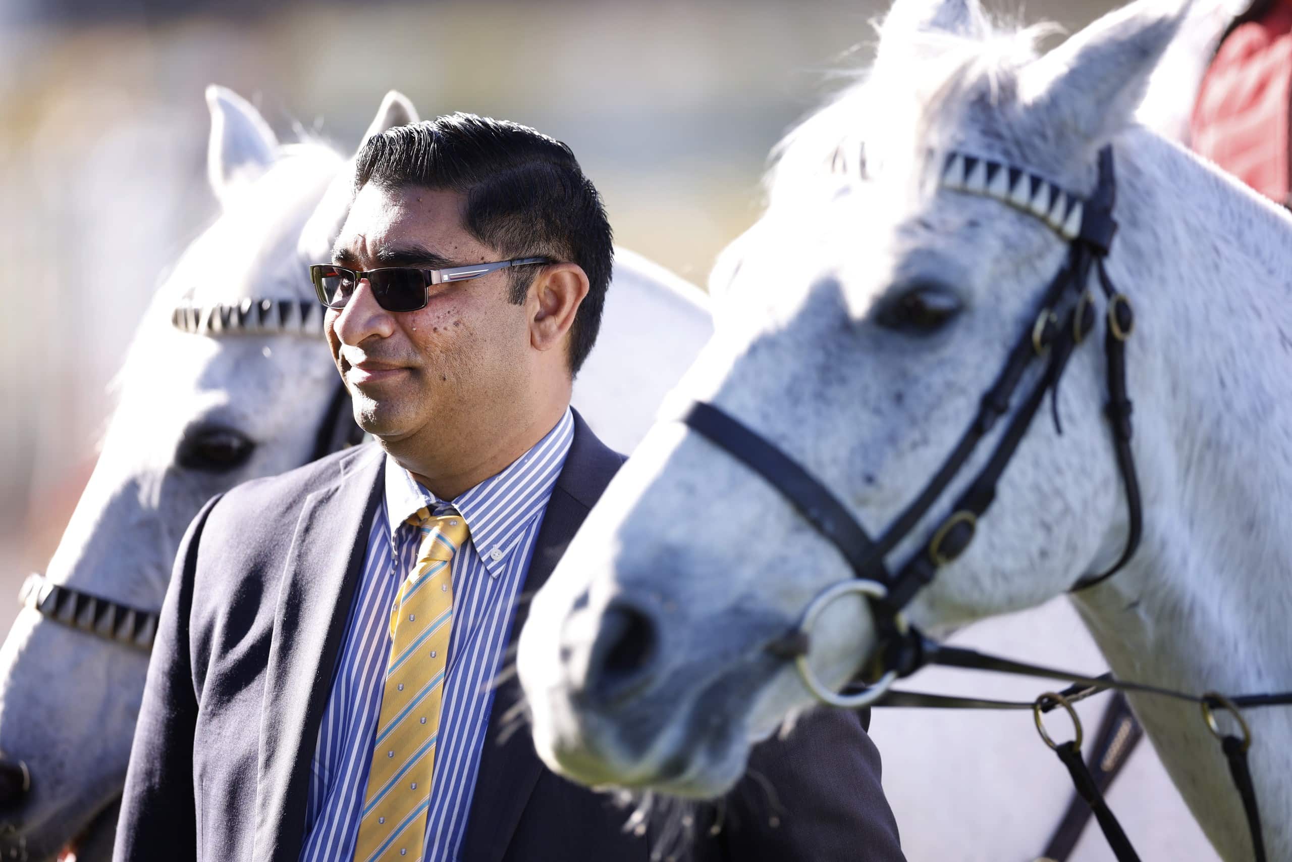 Sydney’s trainers hit with modest rent increasesafter ATC compromise ...