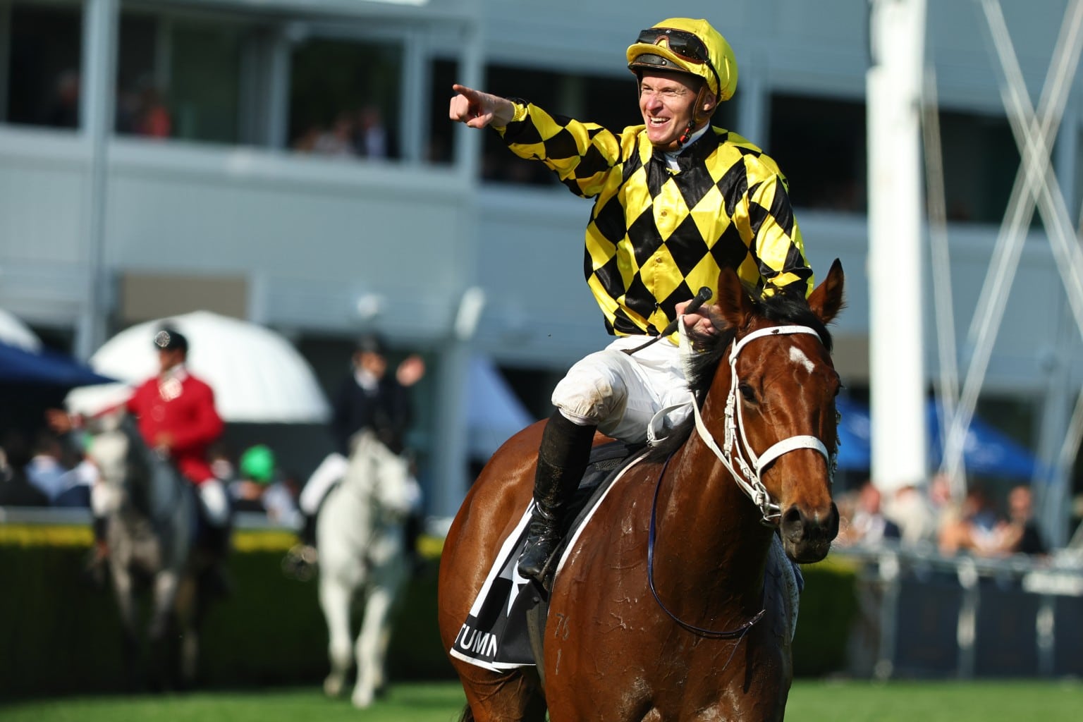 Magic Millions releases 354-strong weanling catalogue – The Straight