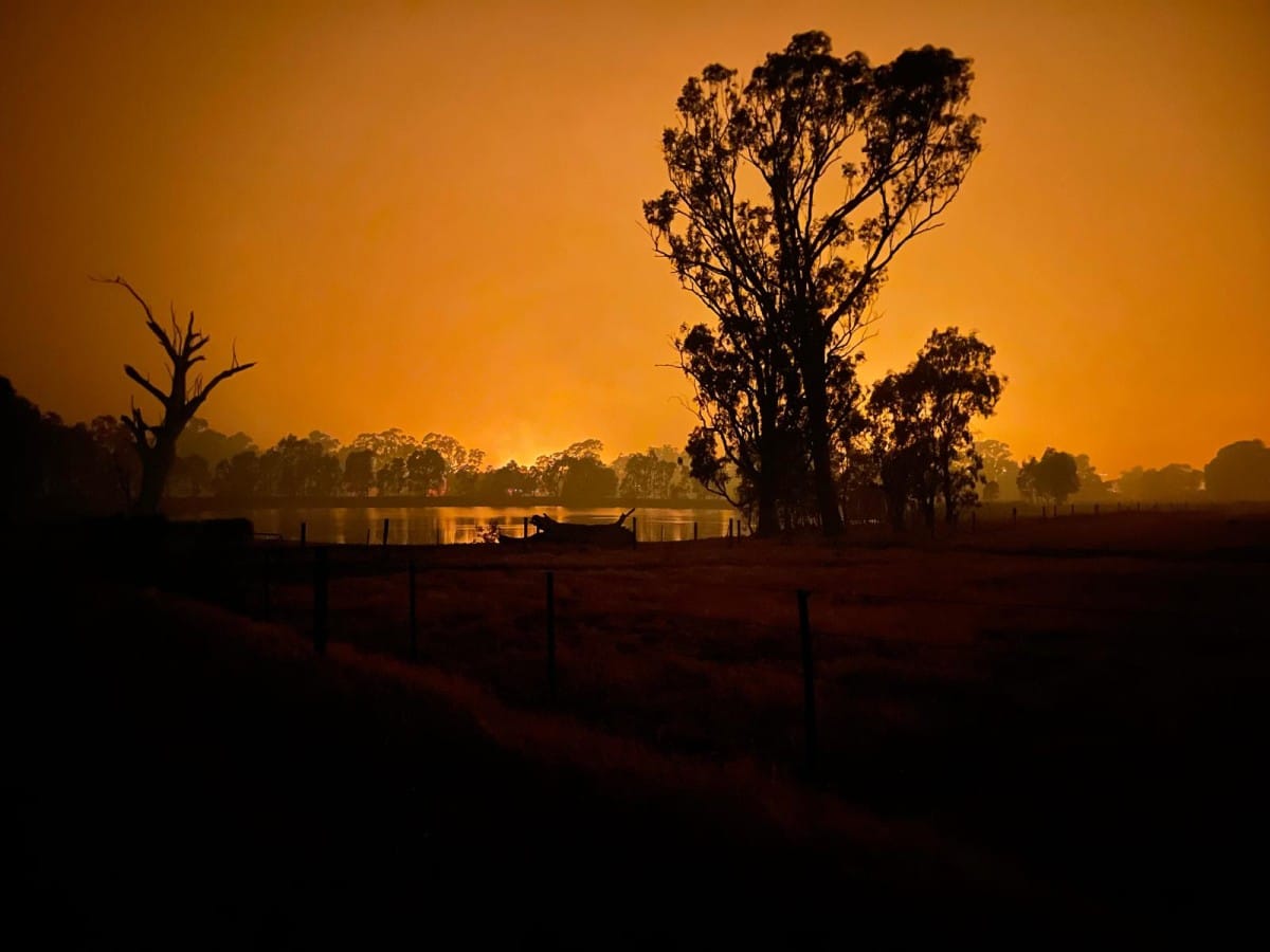 Lindsay Park assessing bushfire impact – The Straight