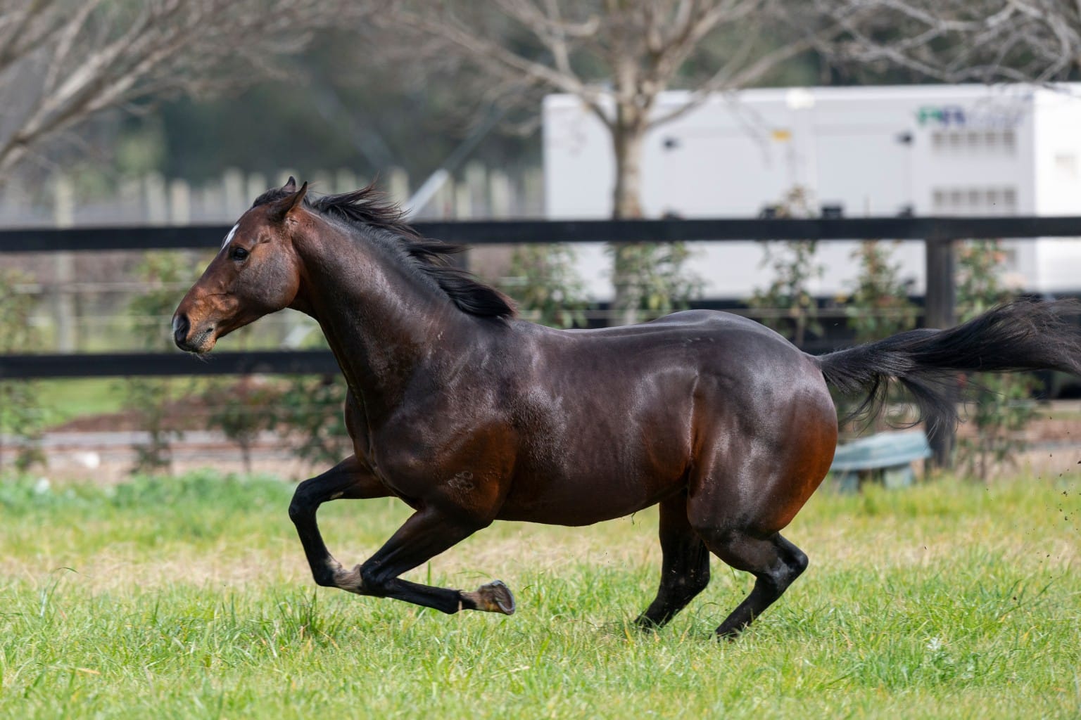 Run The Numbers - All-in on Alabama as Yulong bids to create Australia ...