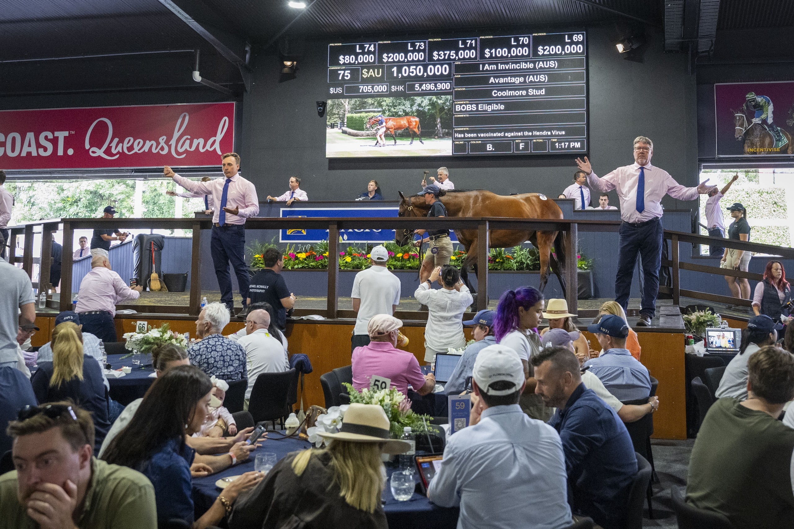 'Genuine' day one sets tone for rest of Magic Millions – The Straight