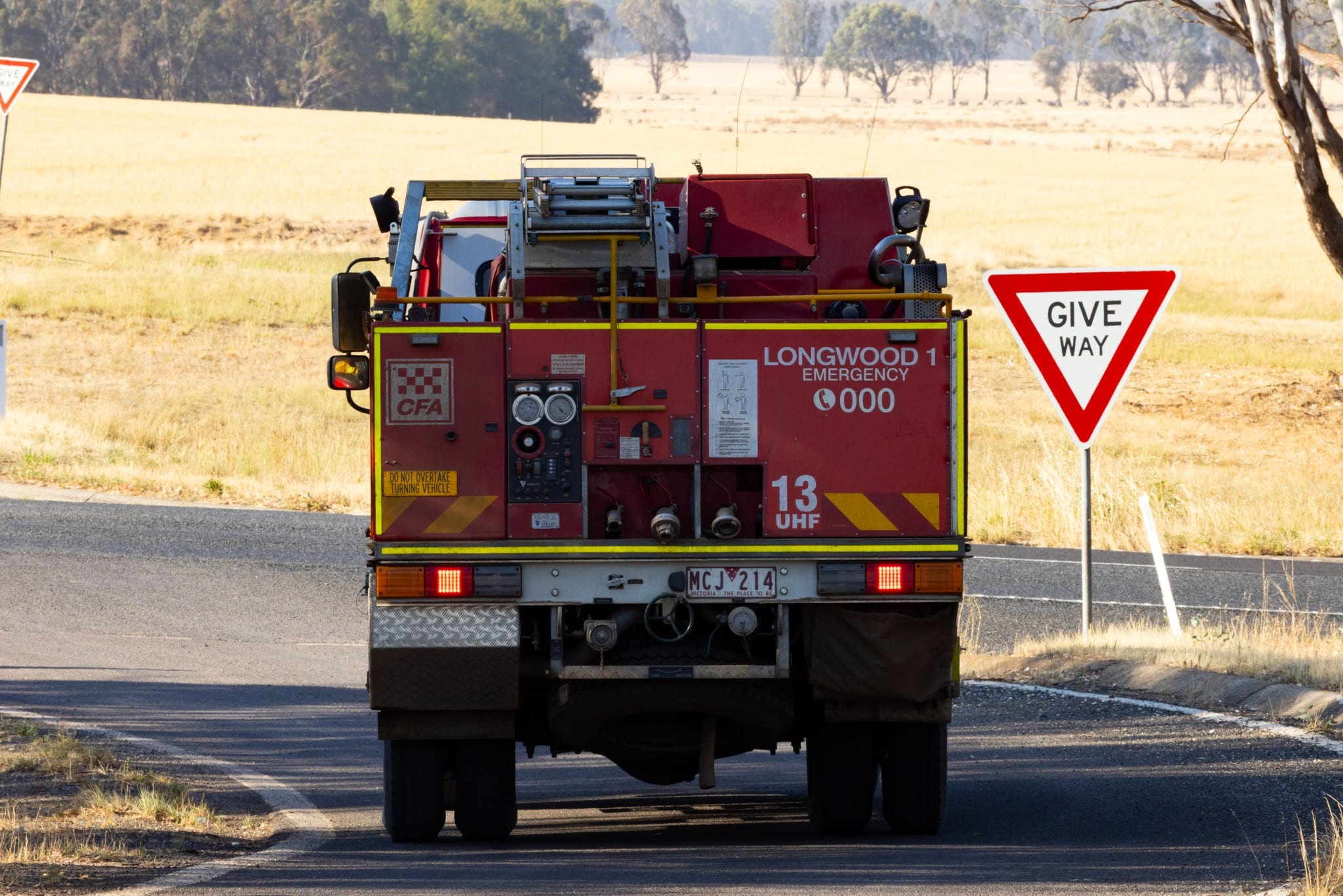 Horses return to Blue Gum Farm after Longwood bushfire disaster – The ...
