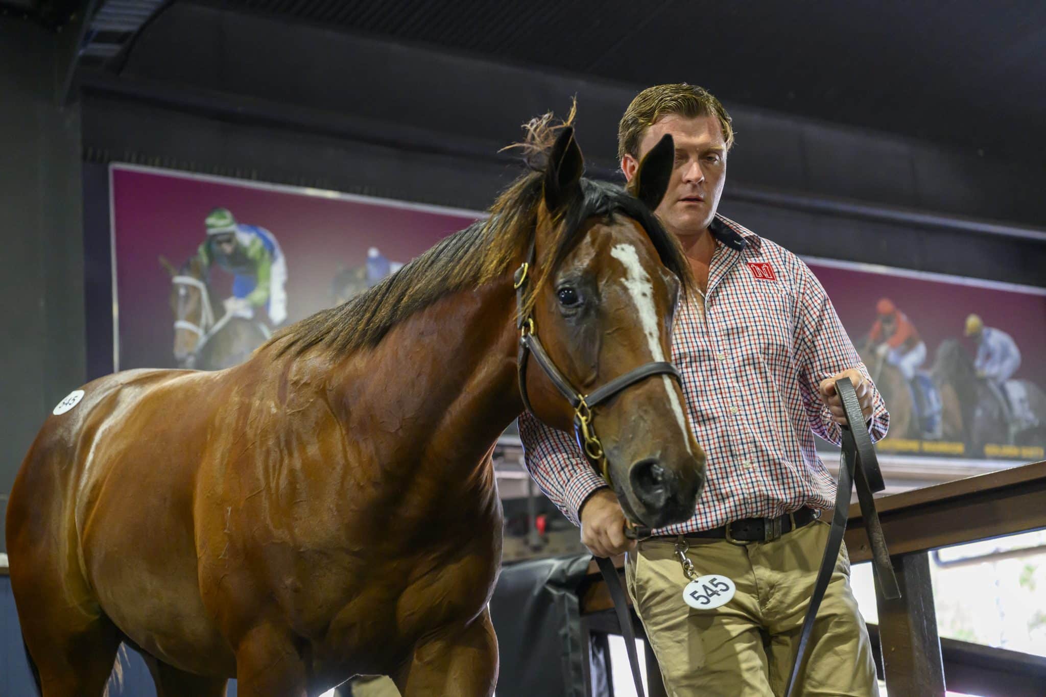 Harron heads up Magic Millions investment with dual strategy – The Straight