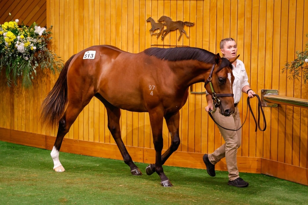 $1.1 million Sword of State colt helps Karaka Book 1 to record heights ...