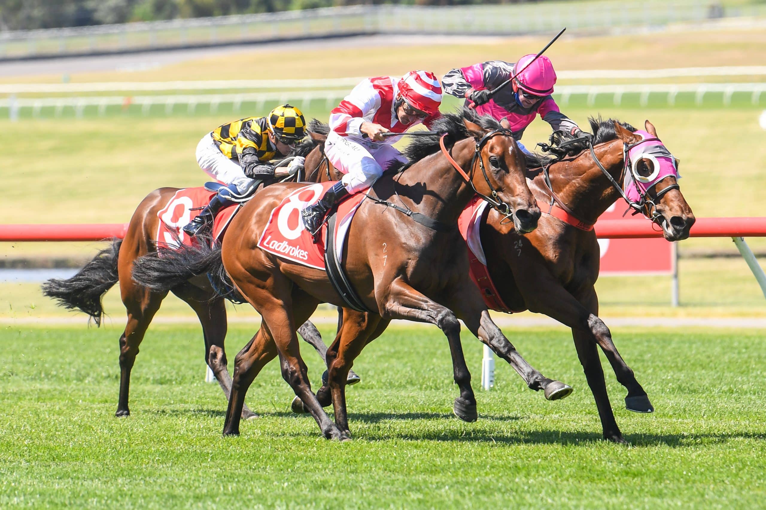 Sandown in frame to host CF Orr Stakes, Sandown Guineas in 2026 – The ...