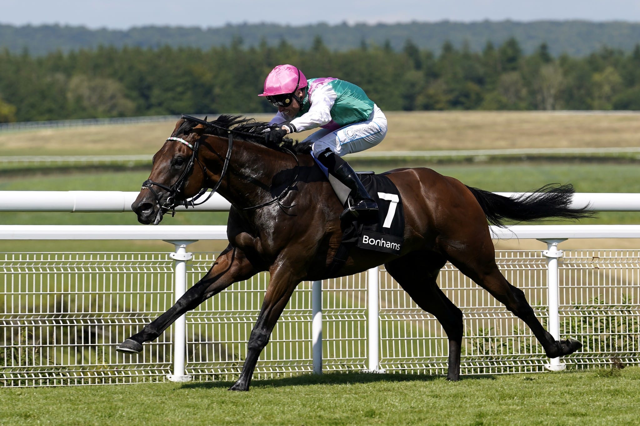 Why Messara sees Danehill echoes in Arrowfield newcomer Lead Artist ...