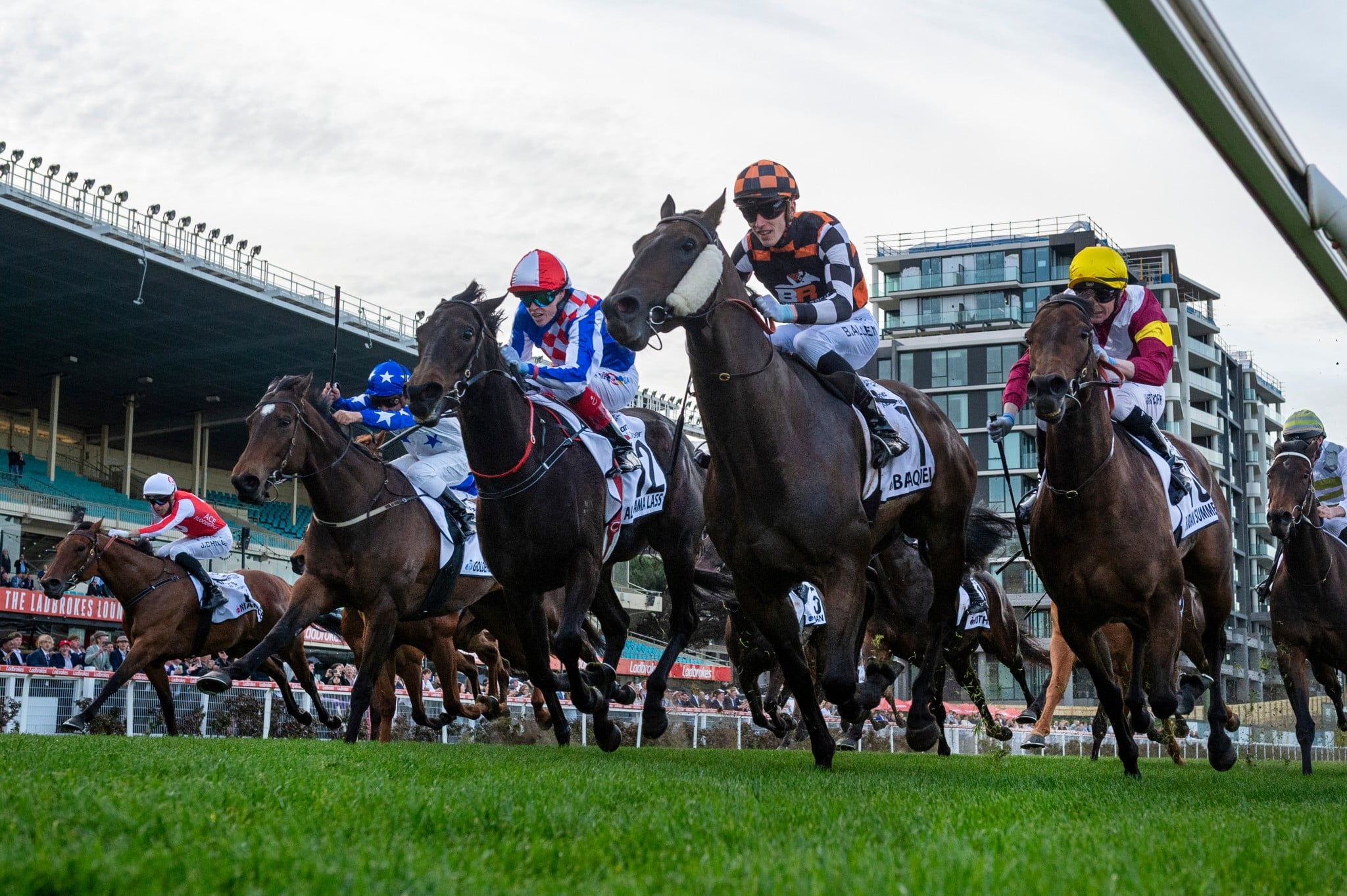 Setting a standard – New course looks to lift best practice in ...
