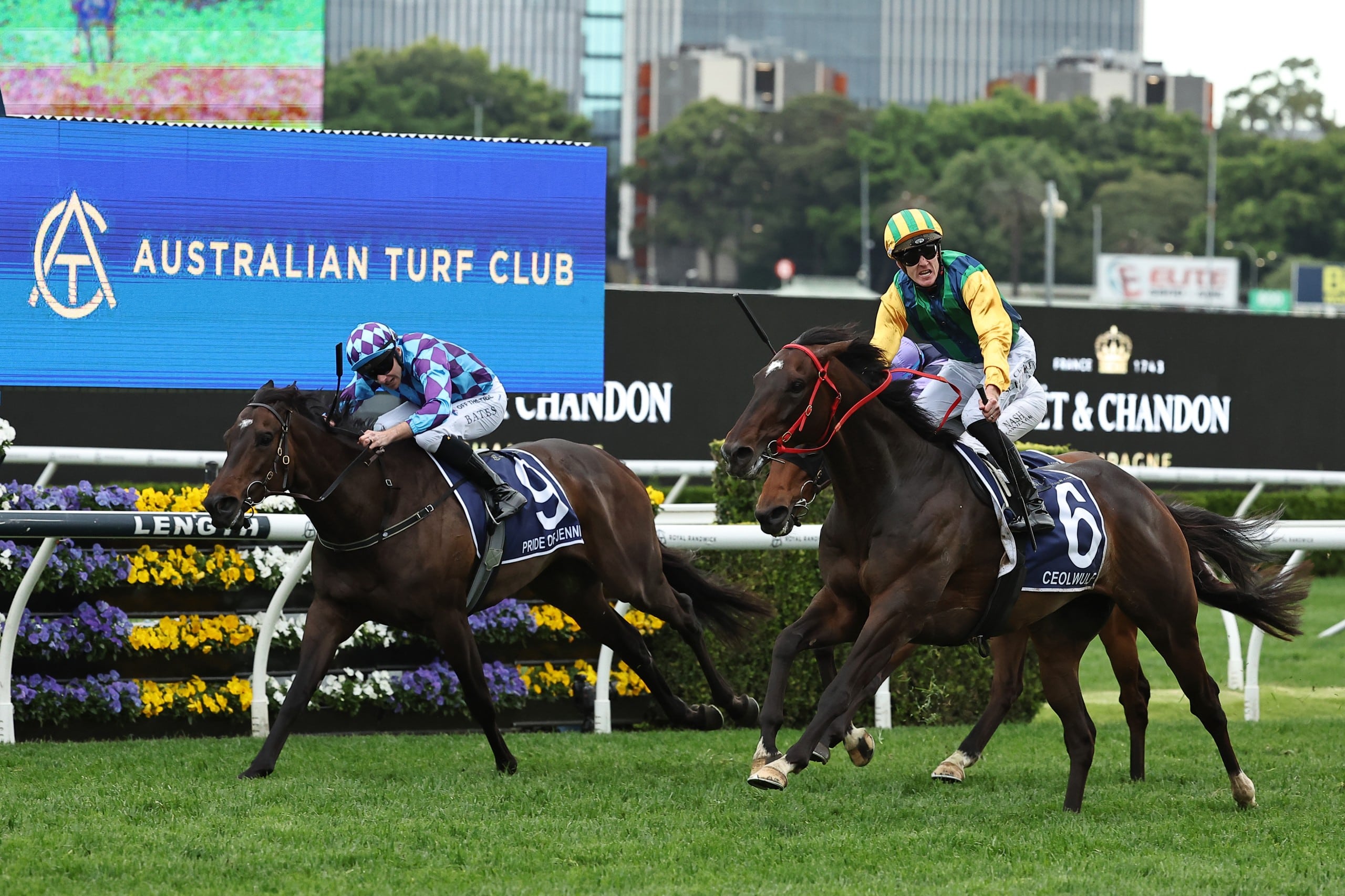 Ruling reserved in ATC-Racing NSW Supreme Court case over ...