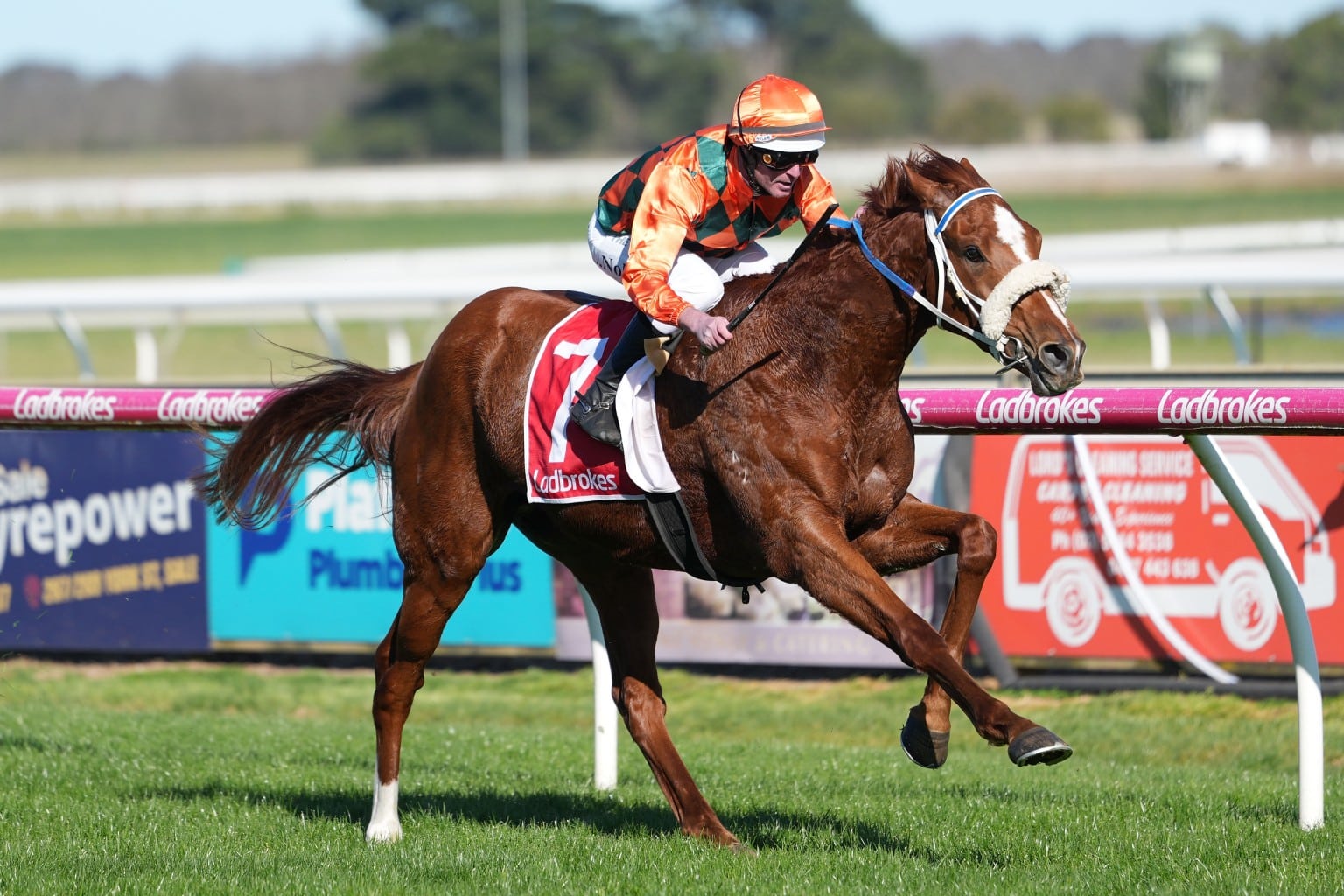 Why an Australian Guineas win would put an extra spring in Deanna Pope ...