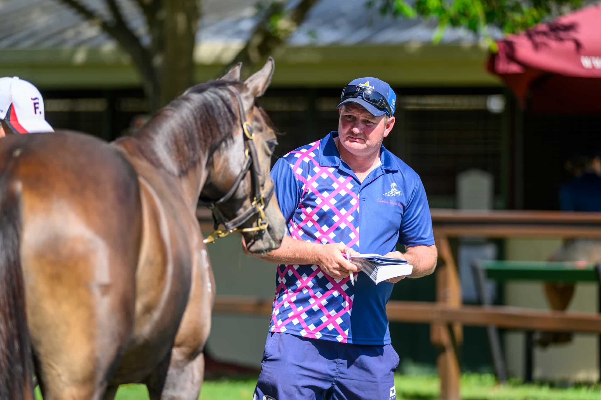 New-look March yearling sale to be put to the test during busy period ...