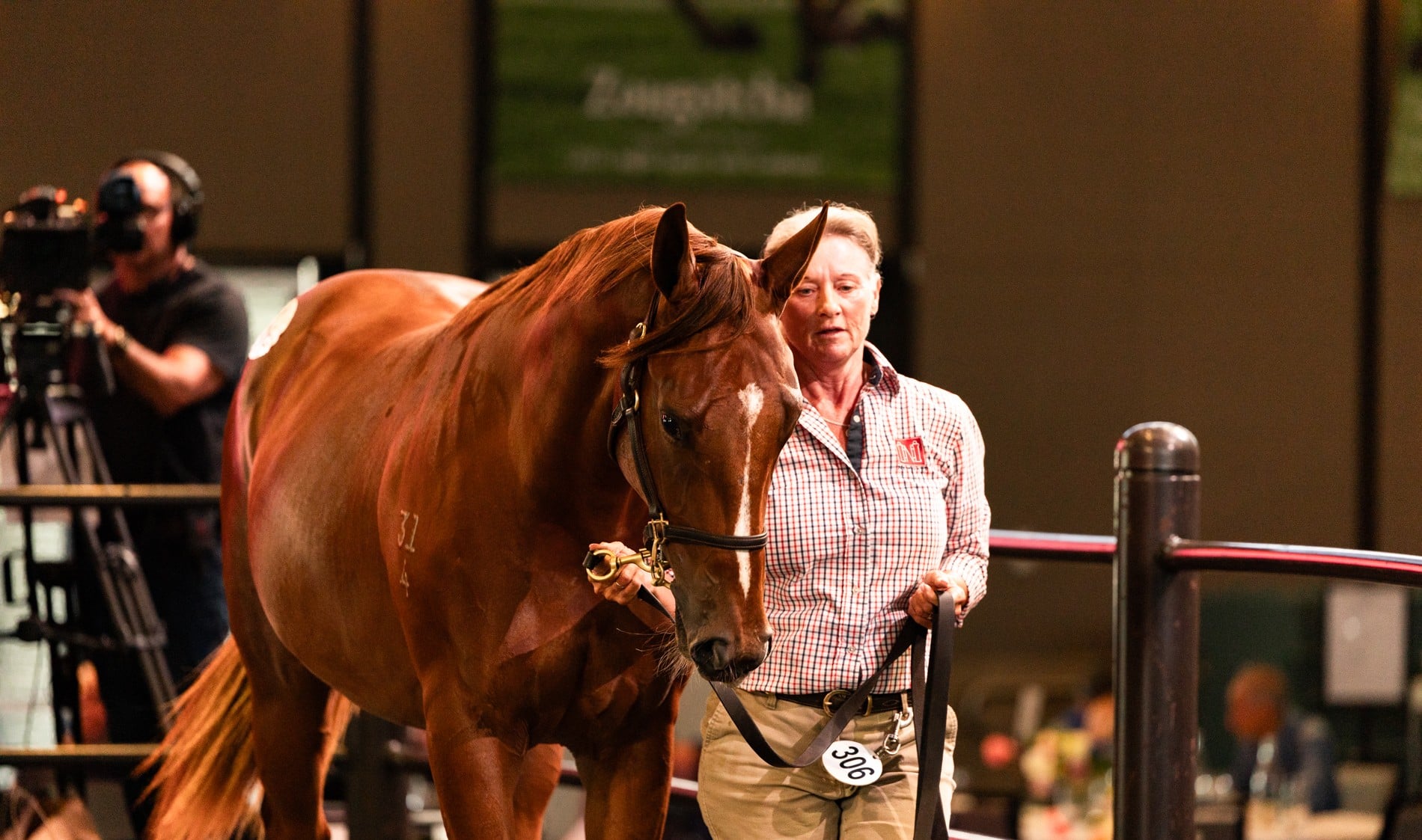 Run The Numbers – Yearling market grows despite drops at biggest sales ...