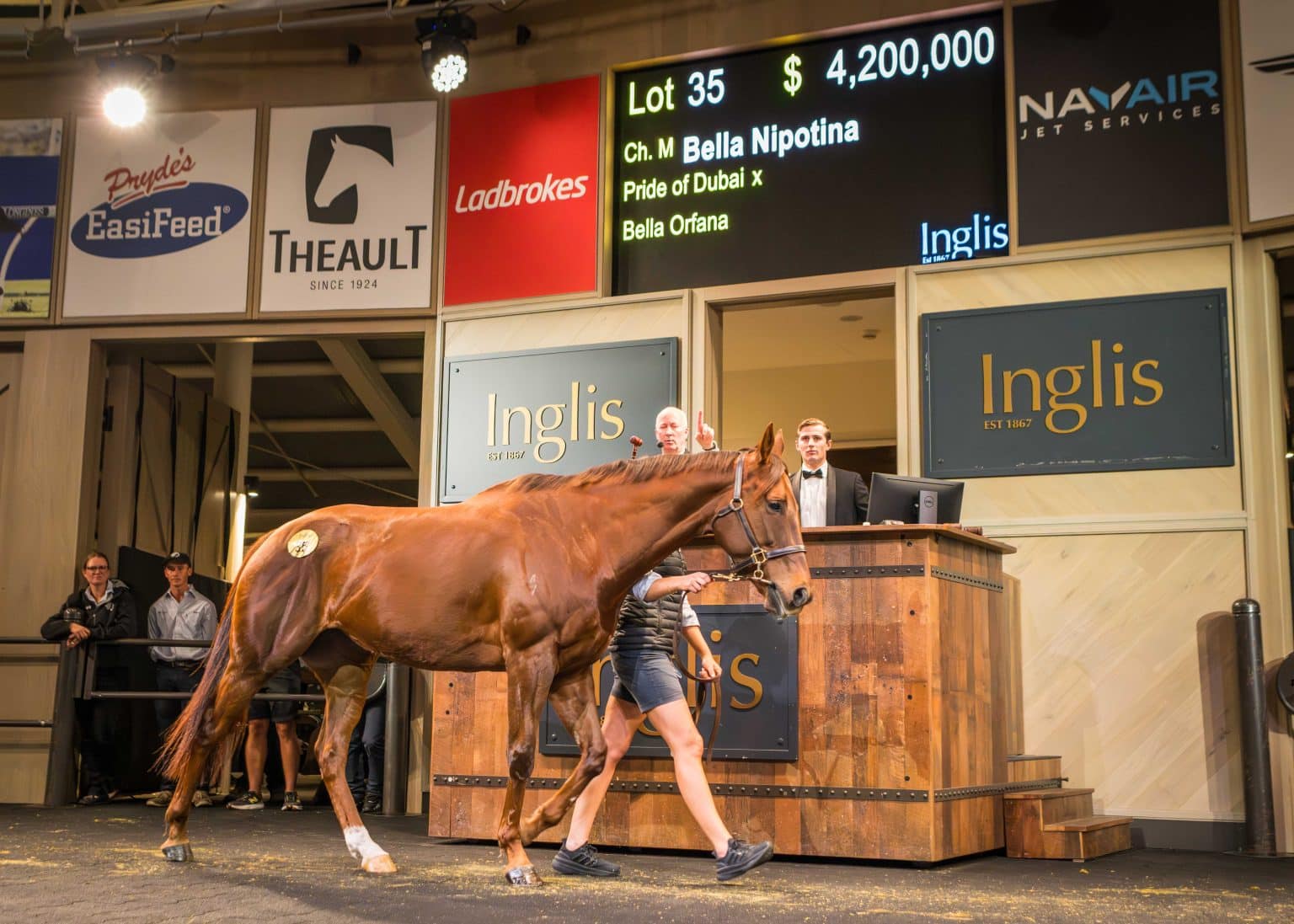 A decade since its inception, Inglis aims to deliver on its Chairman’s ...