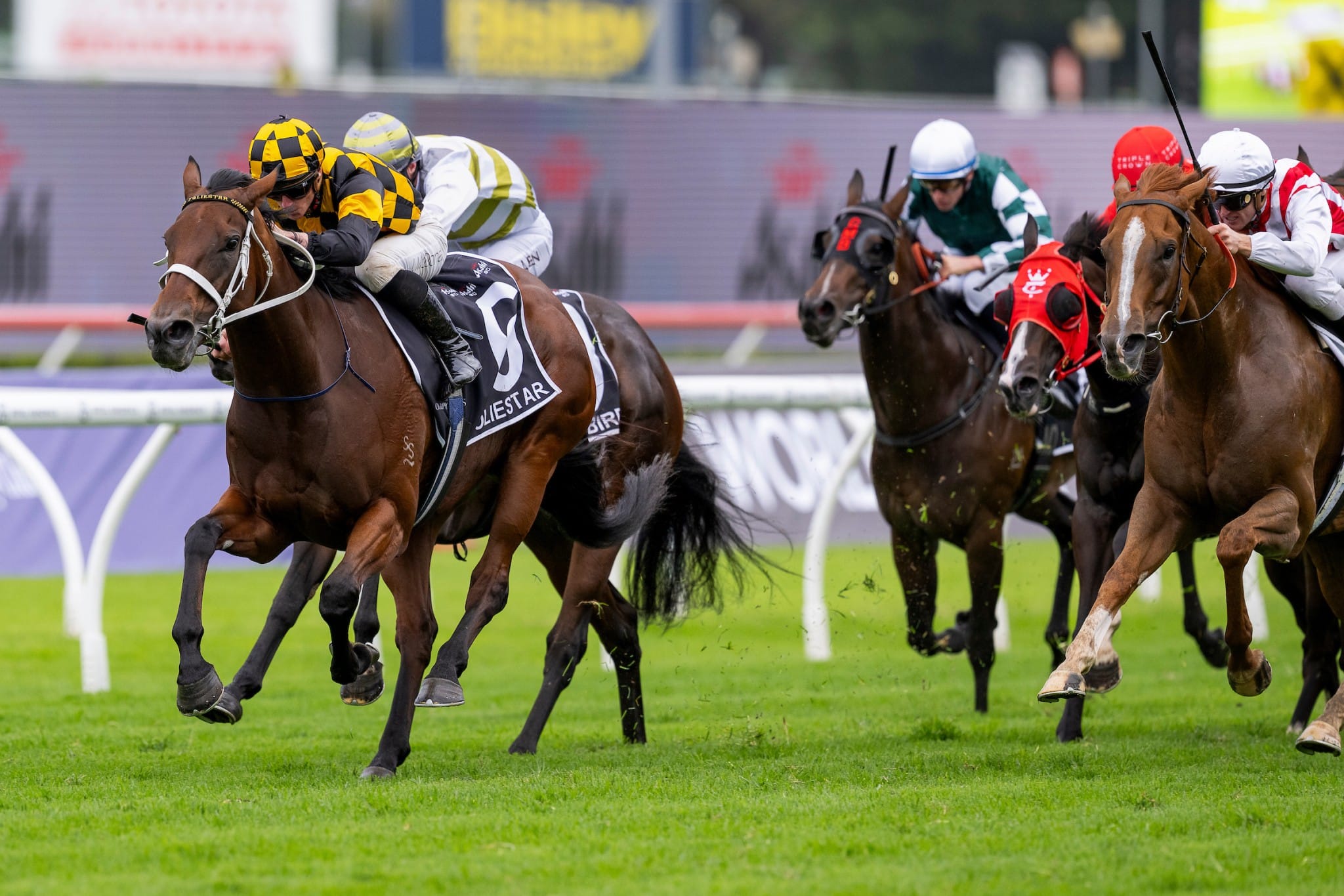 Run The Numbers – The filly and mare advantage – The Straight