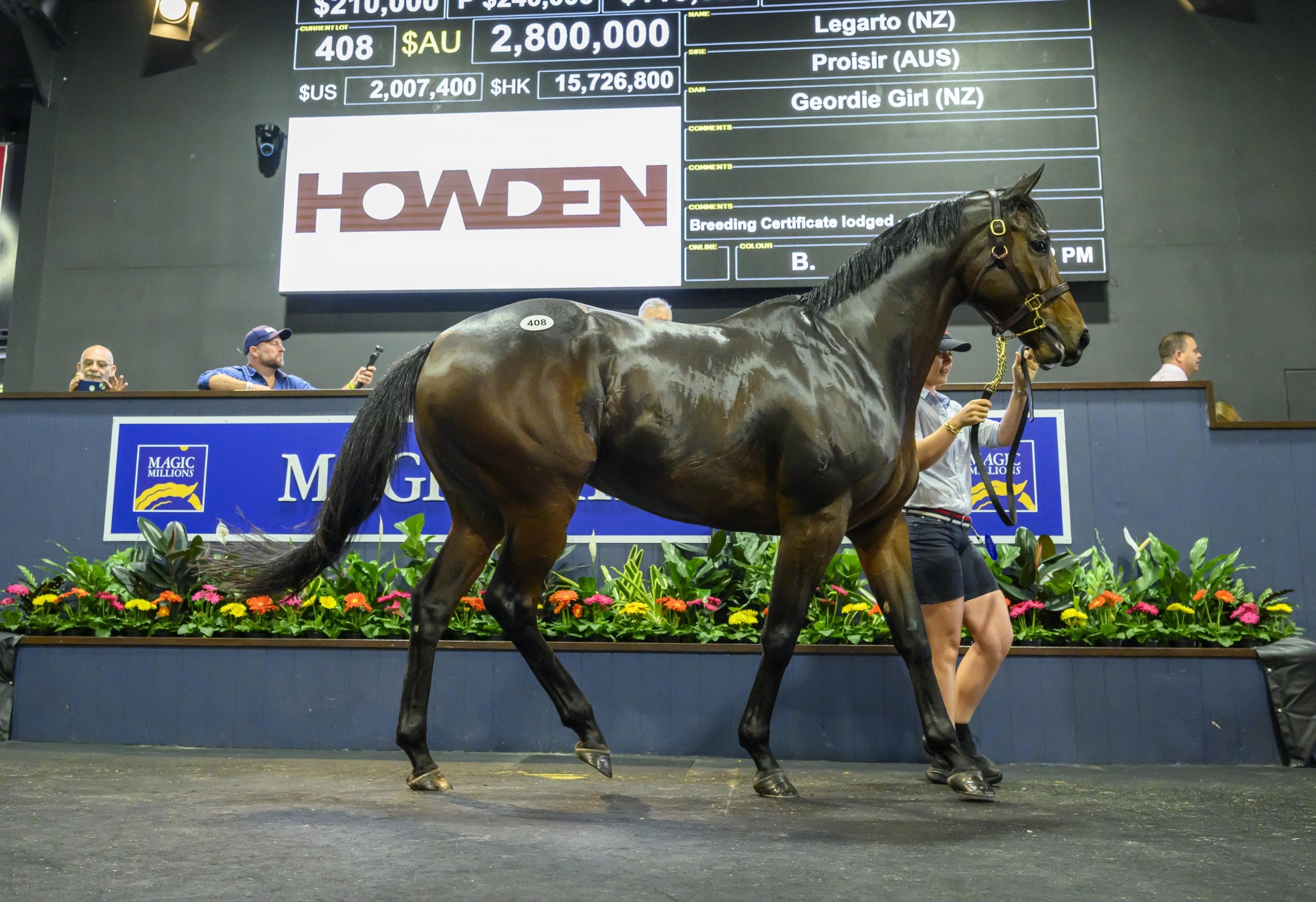 $2.8 million Legarto stars as demand remains strong for top-quality ...