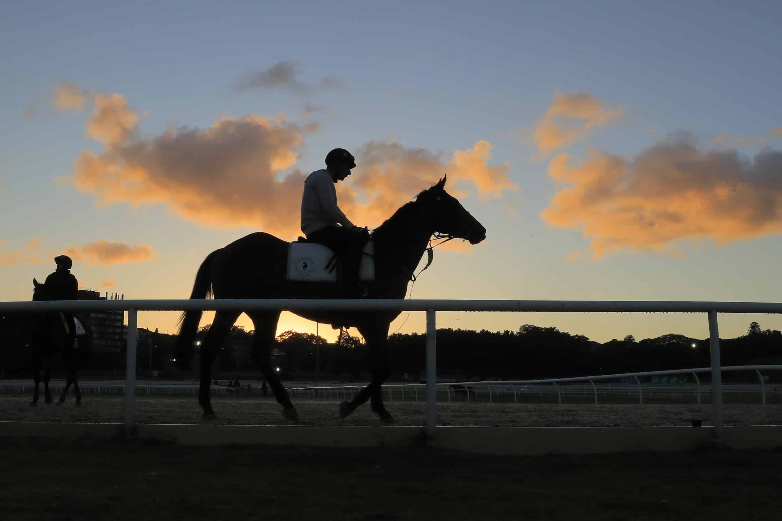 Losing Sleip - Trainers call for trial of lameness app before mandatory ...