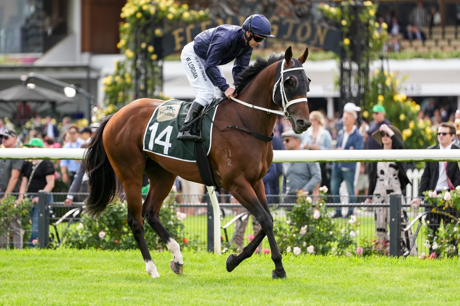 ‘Extraordinary natural ability’ - Coolmore’s Wodeton to stand at ...