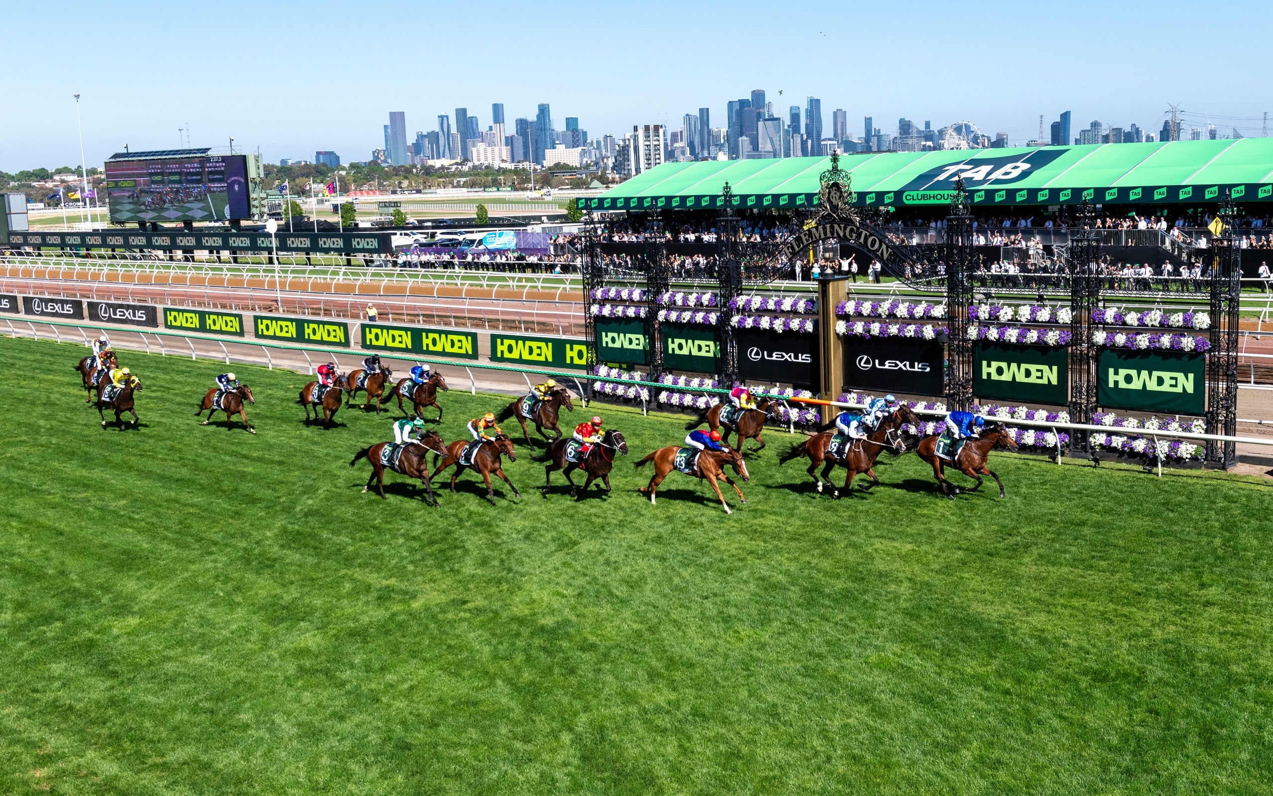 Letter To The Editor - Matt Cumani - Don't turn the Derby into a Dodo ...