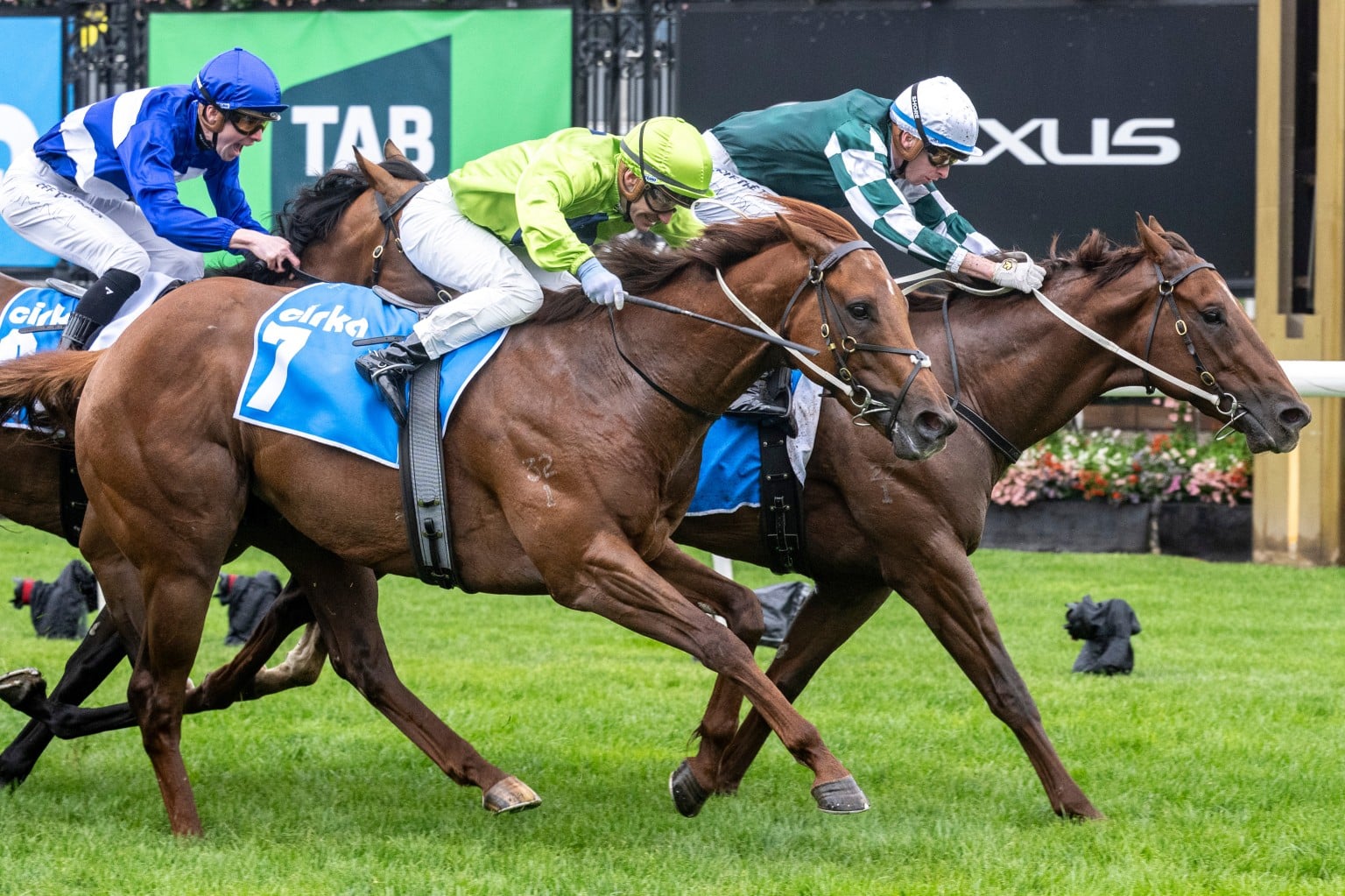 Bank interest - Group 1-winning stallion prospect to be offered online ...