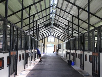 ‘A unique asset’ - Osborne Park still part of the plan as Godolphin ...
