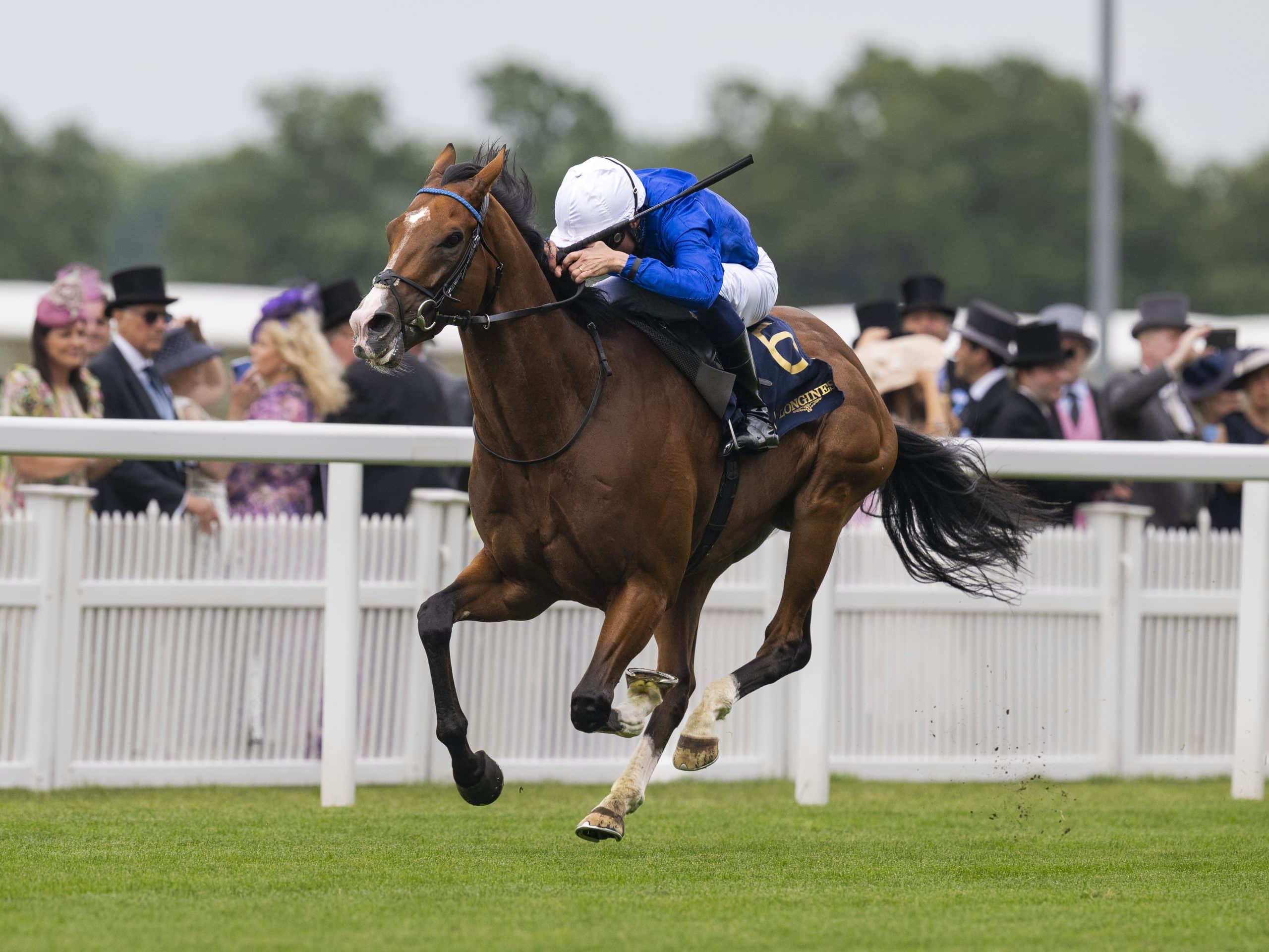 Ombudsman’s class claims back-to-back Prince of Wales’s Stakes – The ...